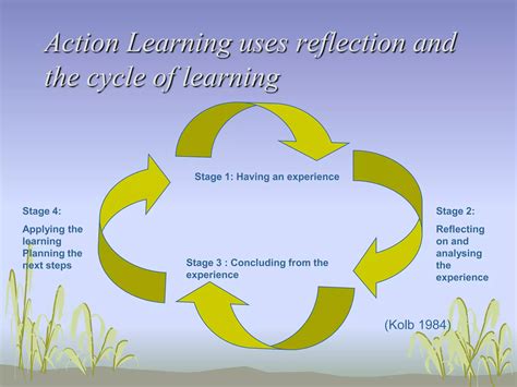 Action Learning Approach Pptx