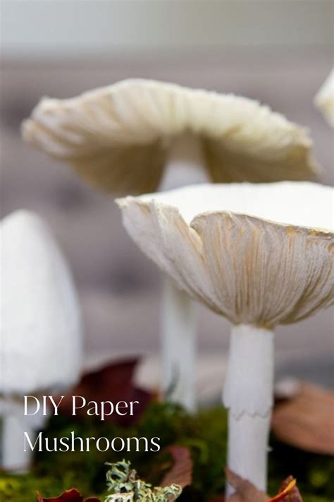 DIY Paper Mushrooms Craft Tutorials