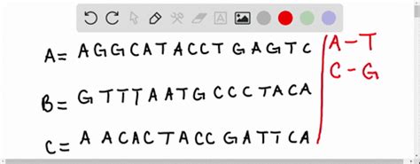 SOLVED:Write the complementary DNA sequence of each of the following base sequences: a. A G G C ...