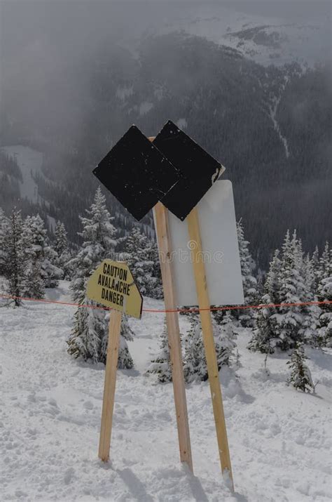 Double Black Diamond Sign At Ski Resort With Snow Covered Evergreens