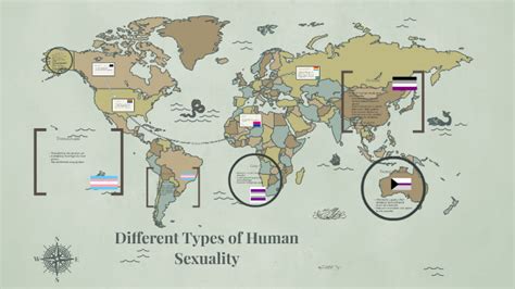 Different Types Of Human Sexuality By Bart Morawski On Prezi