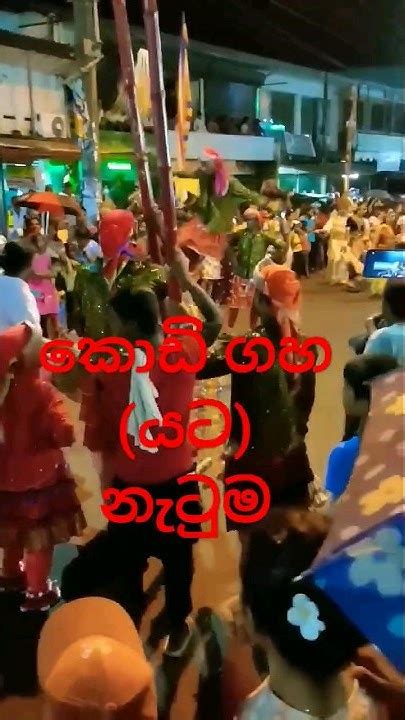 කොඩි ගහ නැටුම Youtube