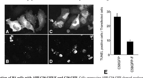 Figure 4 From The Gamma Secretase Generated Carboxyl Terminal Domain Of