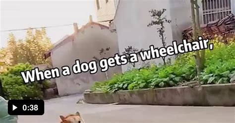 Makes Me Smile Everytime 9gag