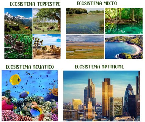 Ecosistemas Acuáticos Simples