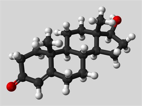 Can A Mans Testosterone Be Boosted Naturally Science Questions With