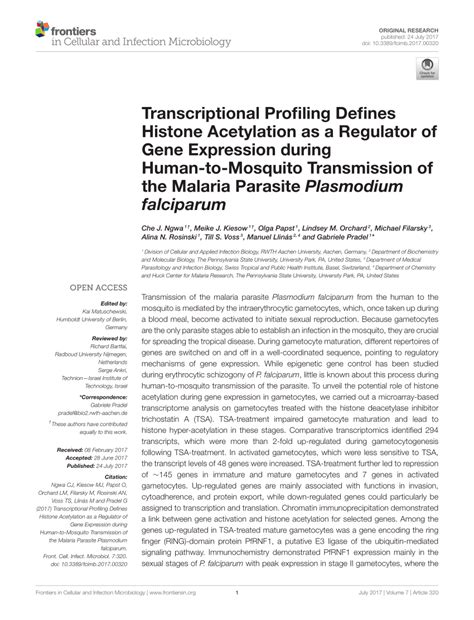 Pdf Transcriptional Profiling Defines Histone Acetylation As A