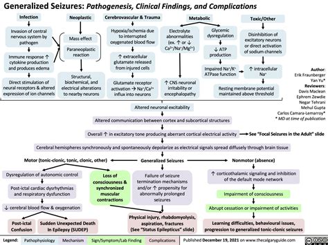 Generalized Seizures Pathogenesis Clinical Findings And