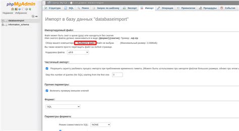 Как загрузить дамп базы данных Mysql Firstvds