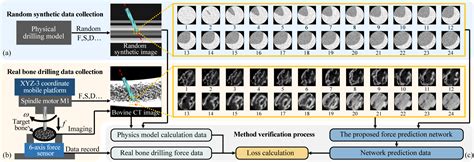 Njmu Bone Drilling Force Dataset Ieee Dataport
