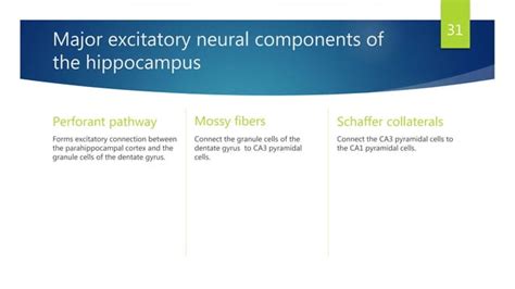 Anatomy And Physiology Of Temporal Lobe PPTX Brain And Nervous System Disorders Diseases