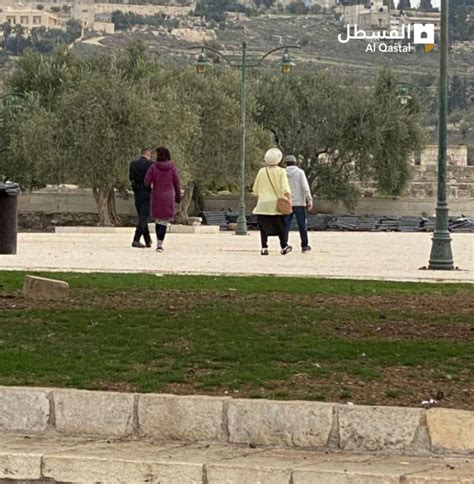 Alqastal القسطل On Twitter تغطية صحفية مستوطنون يقتحمون المسجد