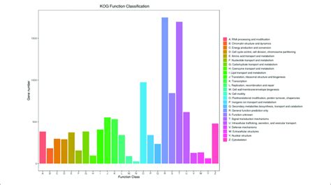 Kog Functional Classification Diagram The Horizontal Axis Indicates