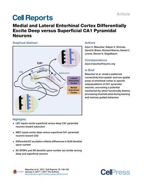 Pdf Medial And Lateral Entorhinal Cortex Differentially Excite Deep