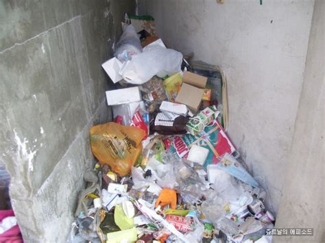 나 하나 쯤이야 가 만든 집앞 쓰레기장 대청소 후기