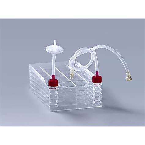 TC Treated Vented Cap Flasks