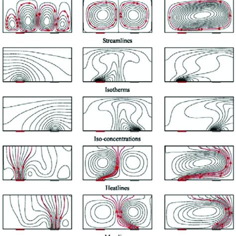 Contour Lines Of Stream Function Temperature Concentration Heat