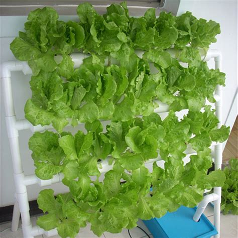 供应立体花架 水培蔬菜 阳台管道无土栽培种植机 花盆架子 阿里巴巴