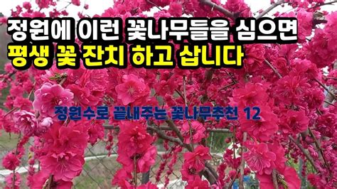 정원에 심어도 후회 없는 꽃나무 봄에 심으면 좋은 꽃나무 정원수 노지 정원귀촌 생활 정원가꾸기 Youtube