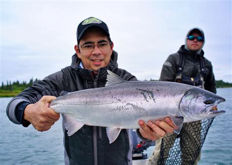How To Catch Silver Salmon