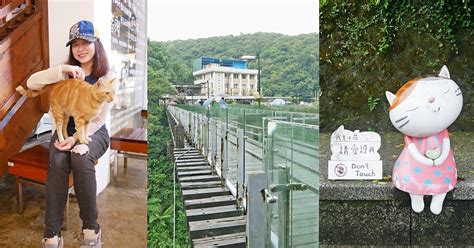 瑞芳猴硐貓村一日遊漫步散策，猴硐景點美食親近喵星人 小蚊子愛飛飛