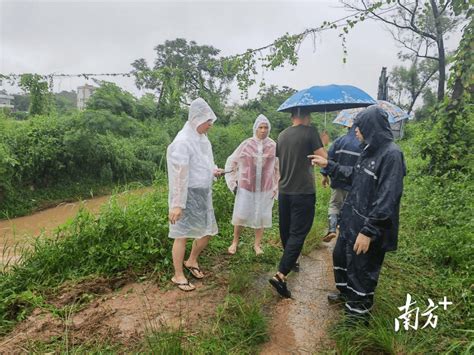 暴雨骤至，茂名滨海新区组建区镇村三级抢险队全力保民生电城镇应急群众