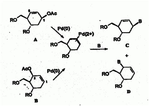 Herdewijn Piet 7 Inventos Patentes Diseños Y O Modelos