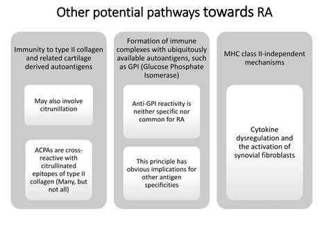 The Immunopathogenesis Of Seropositive Rheumatoid Arthritis Ppt