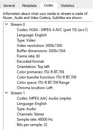 Resulting Video Can T Be Played In Mobile VR Station 3 14 Issue 25