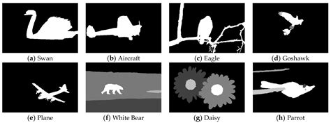 Processes Free Full Text An Extended Tissue Like P System Based On