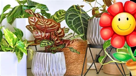 Zonas De Paz Y Armonía En Espacios Versátiles Del Hogar Actualizado