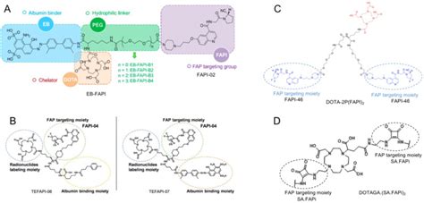 Fibroblast Activation Protein Based Theranostics In Cancer Research A