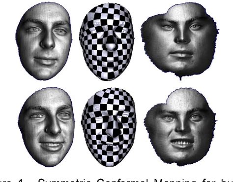 figure 1 from surface matching and registration using symmetric