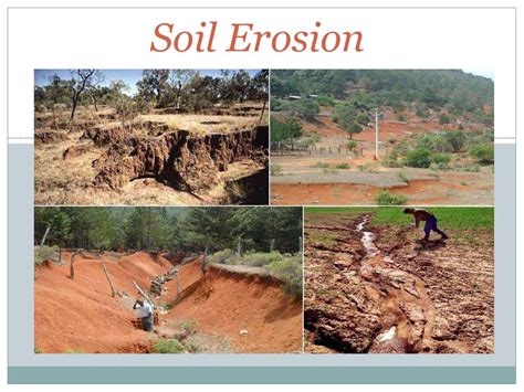 What Causes Soil Erosion