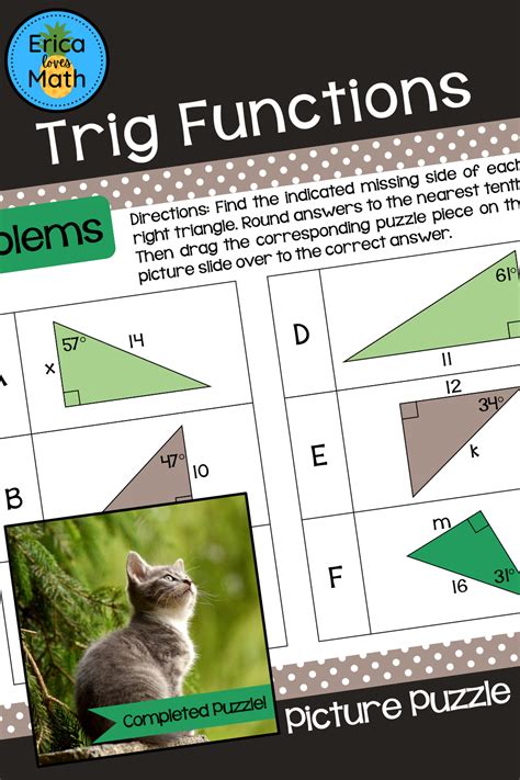 Trig Ratios Digital Activity Picture Puzzle Picture Puzzles Digital