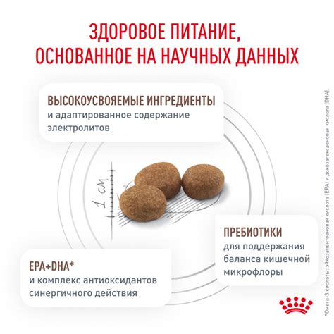 Роял Канин ГАСТРОИНТЕСТИНАЛ ЛОУ ФЭТ лечебный сухой корм для собак, 1 ...