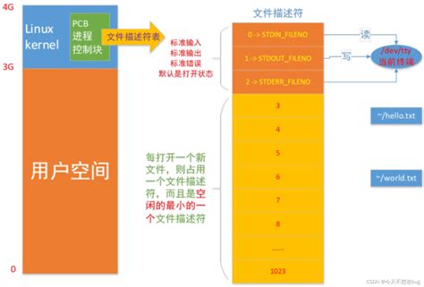 Linux系统编程进程是包含在pcb结构体中的虚拟地址空间中吗 Csdn博客