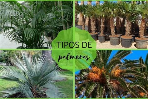 Descubre Los Mejores Tipos De Piedras Para Caminos De Jardín Guía Completa