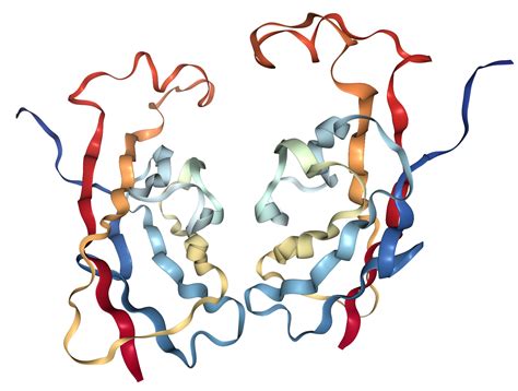 Vapb 基本信息 Sino Biological