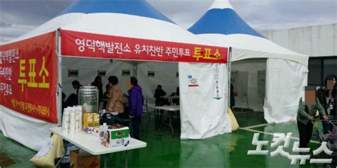영덕군 원전 논란 점입가경갈라진 민심 노컷뉴스