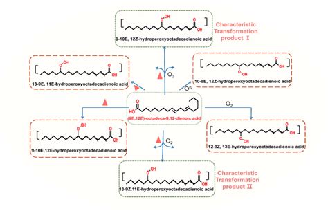 Photooxidation And Auto Oxidation In Oil The Red Triangle Indicates