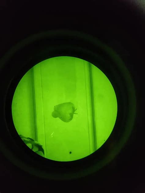 Pvs 7 Gen 3 Omni 6 Nvg Airsoft Marknad KÖp And SÄlj