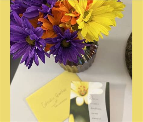 Catholiccharities Supportourneighbors Lovehopehealing Catholic