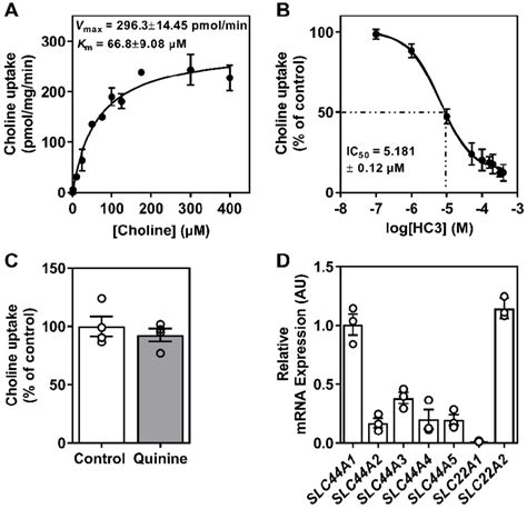 Characterization Of Huh75 Cell Choline Uptake A Choline Uptake