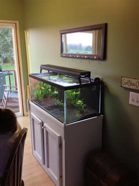 40 Gallon Breeder Tank Dimensions Official Supplier