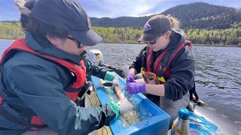 Integrated Watershed Research In The Nechako River Basin Phase 3 Neef
