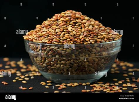 Madras Gram Seeds Macrotyloma Uniflorum Satara Maharashtra India