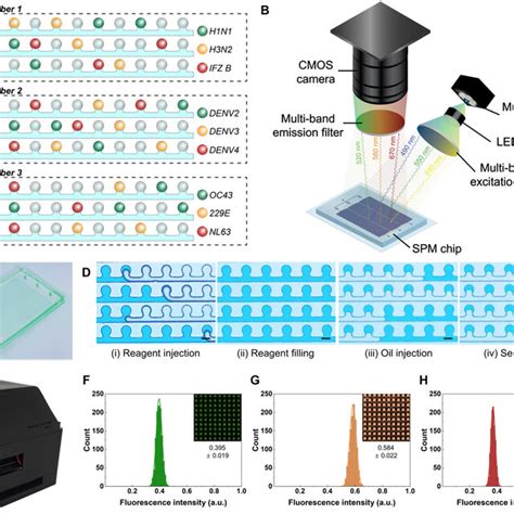 PDF Development Of An IoT Integrated Multiplexed Digital PCR System For Quantitative Detection