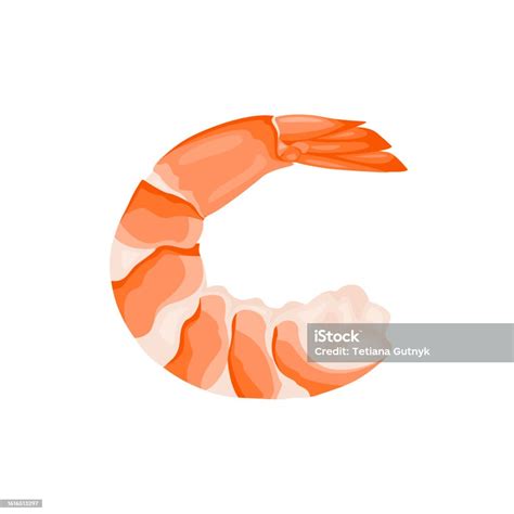 흰 배경에 격리된 새우 껍질을 벗긴 새우를 요리한 벡터 만화 삽화 해산물 아이콘입니다 갑각류에 대한 스톡 벡터 아트 및 기타 이미지 갑각류 건강한 식생활 게 해산물